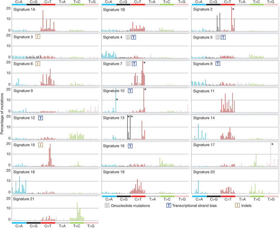 Hands-on with cancer mutational signatures