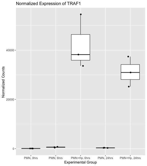 Gene Expression Boxplots With Ggplot2 Michaels Bioinformatics Blog